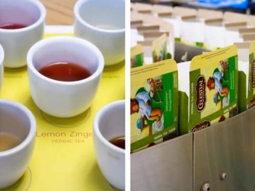 Apple Zinger Tea-Tails Recipe - Love and Lemons