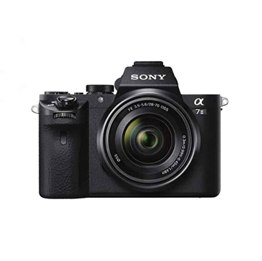 Our Travel Camera (Sony) - Love and Lemons