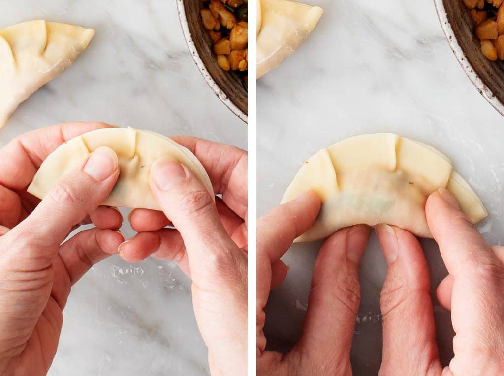 Steamed Dumplings Recipe - Love and Lemons