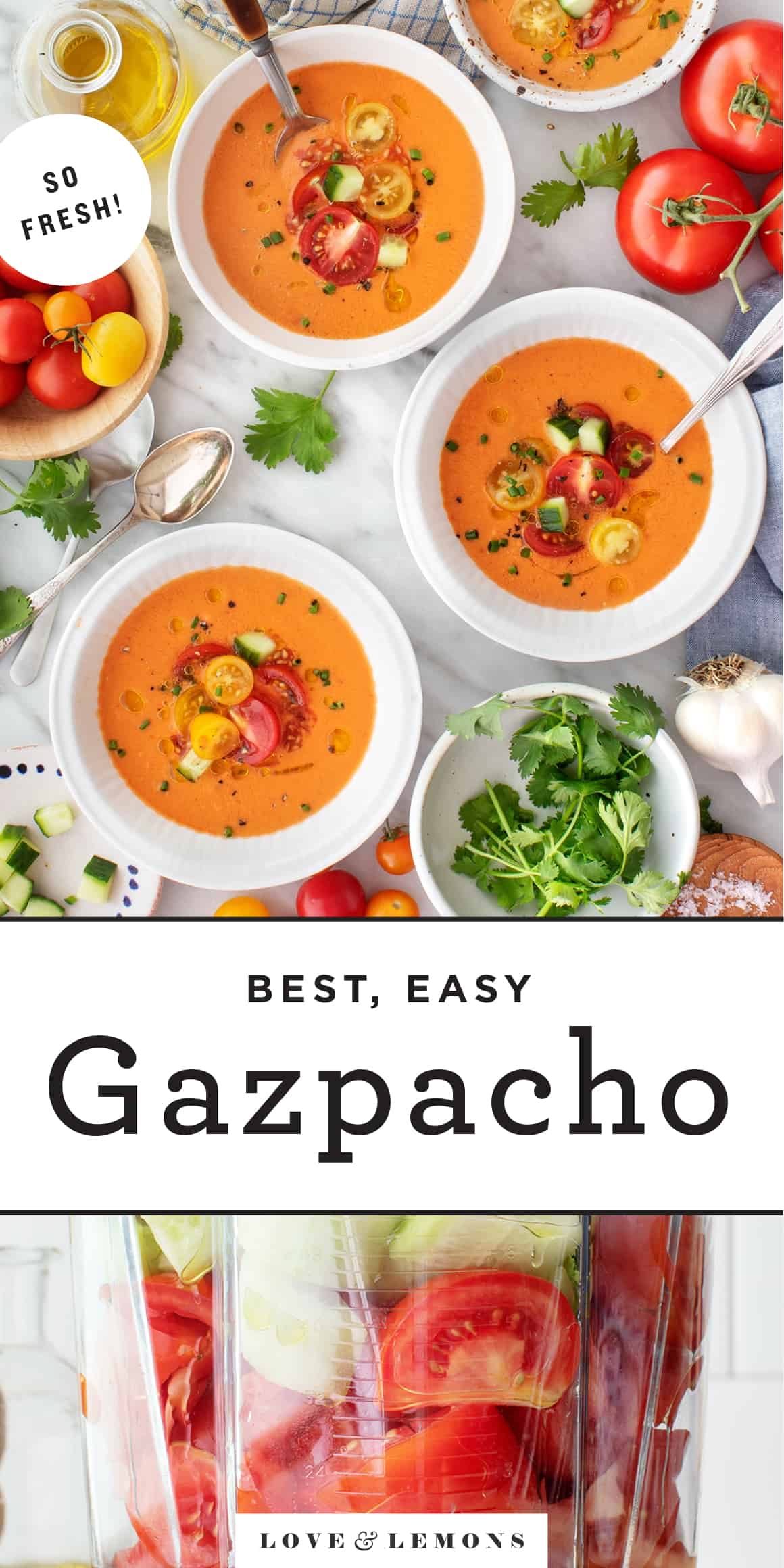 Easy Gazpacho Recipe - Love and Lemons