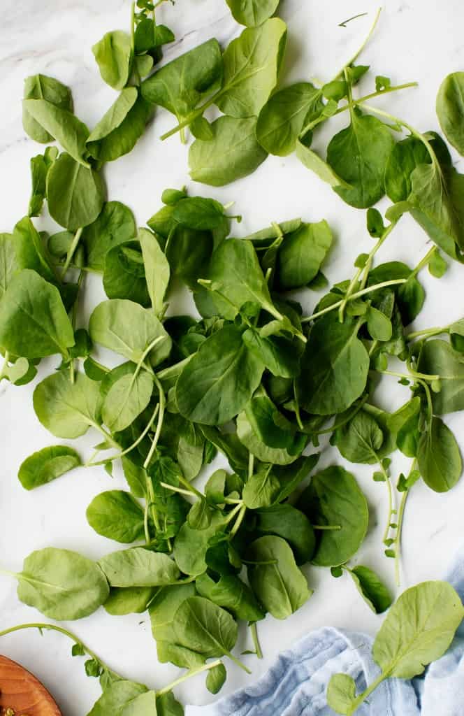 Watercress Salad Recipe - Love and Lemons