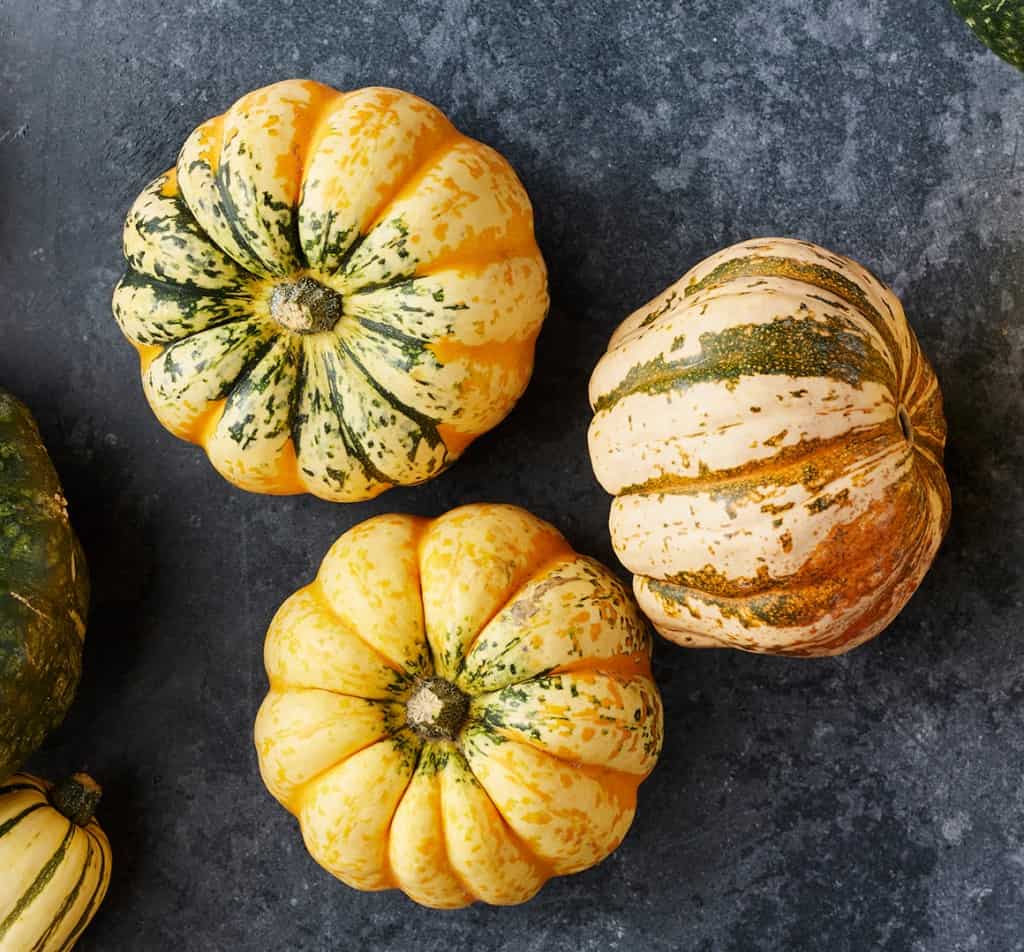 21 Types of Squash Recipe - Love and Lemons