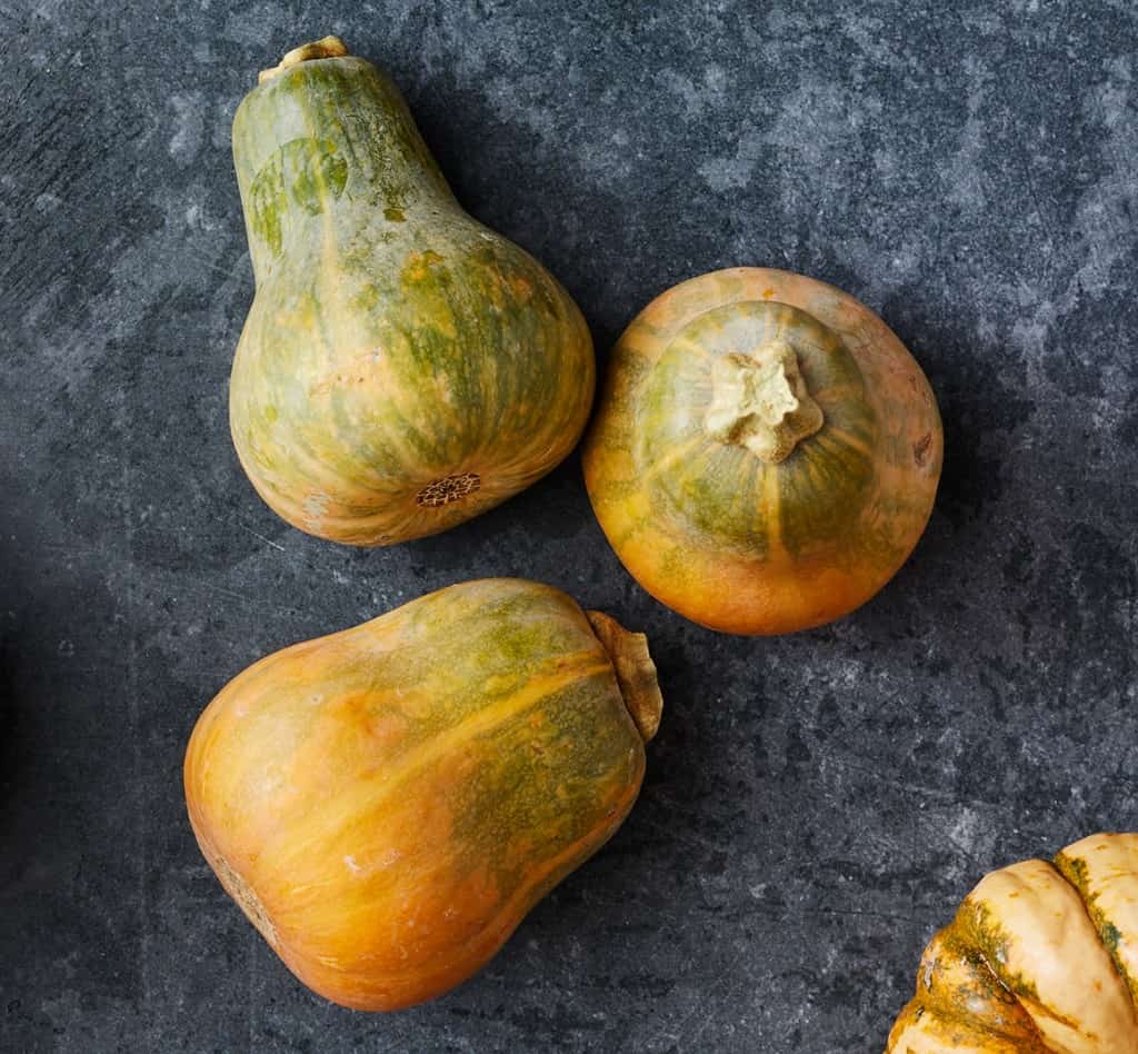21 Types of Squash Recipe - Love and Lemons