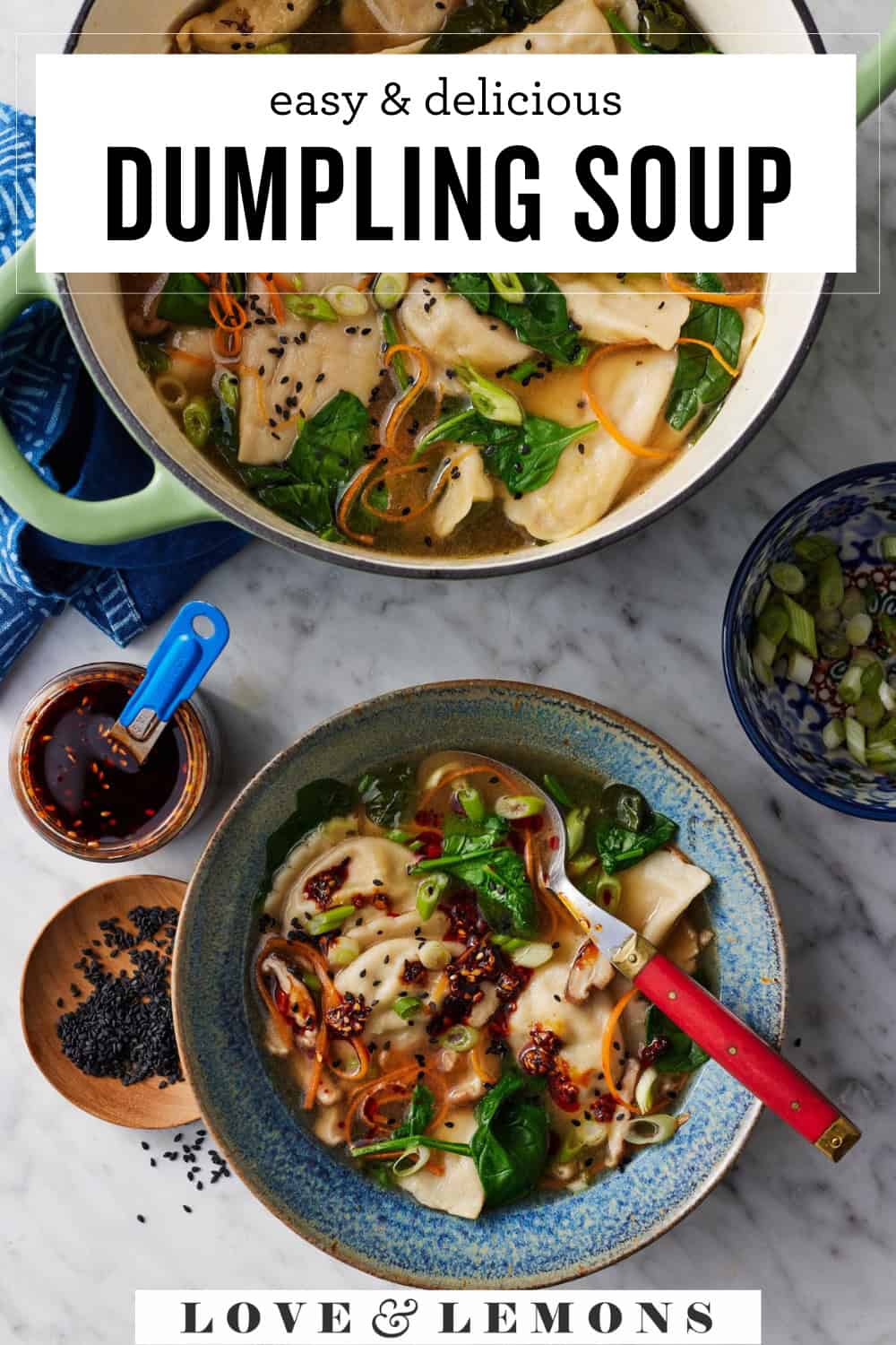 Dumpling Soup Recipe - Love and Lemons