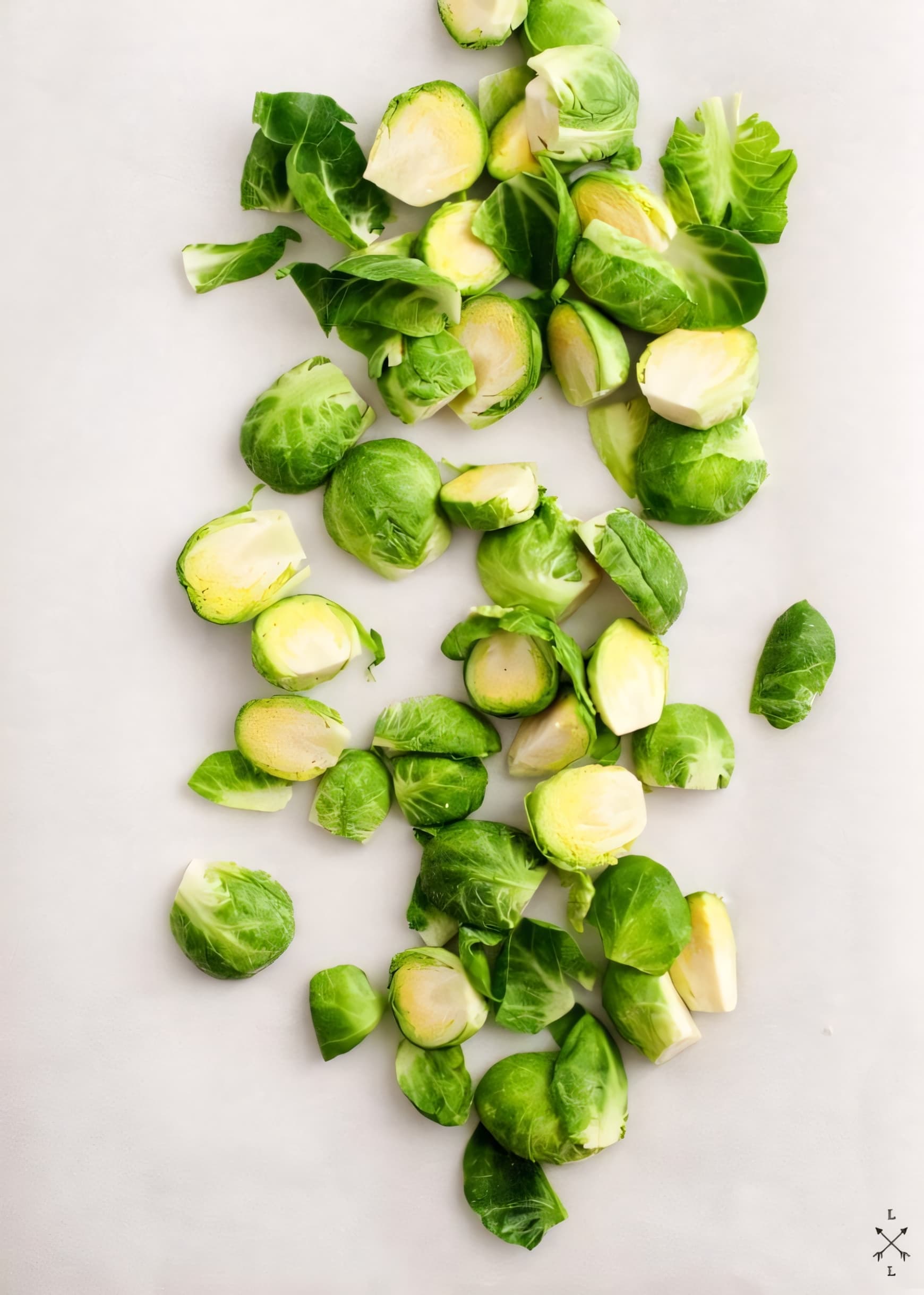 Shells & Brussels Sprouts Recipe - Love and Lemons