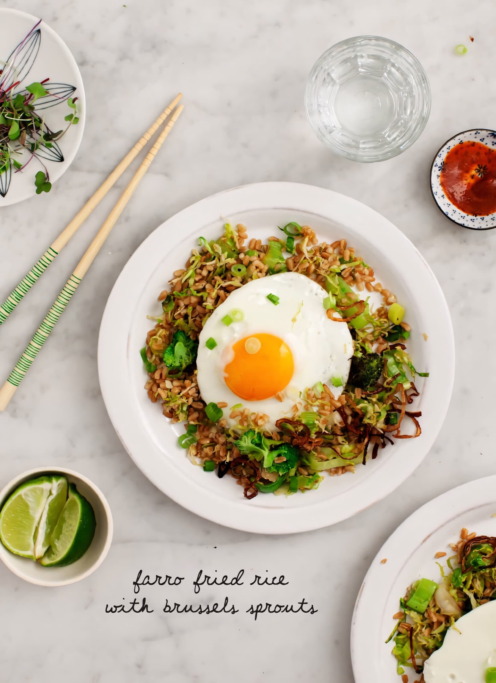 Farro Fried Rice with Brussels Sprouts Recipe - Love and Lemons